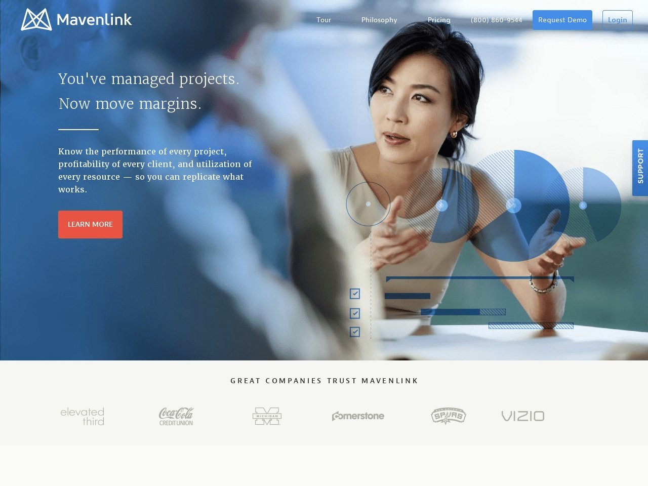 Mavenlink | review by Inspector Jones